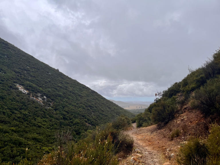 Hike of the week: Skip the crowds at Iron Mountain and opt for this ...