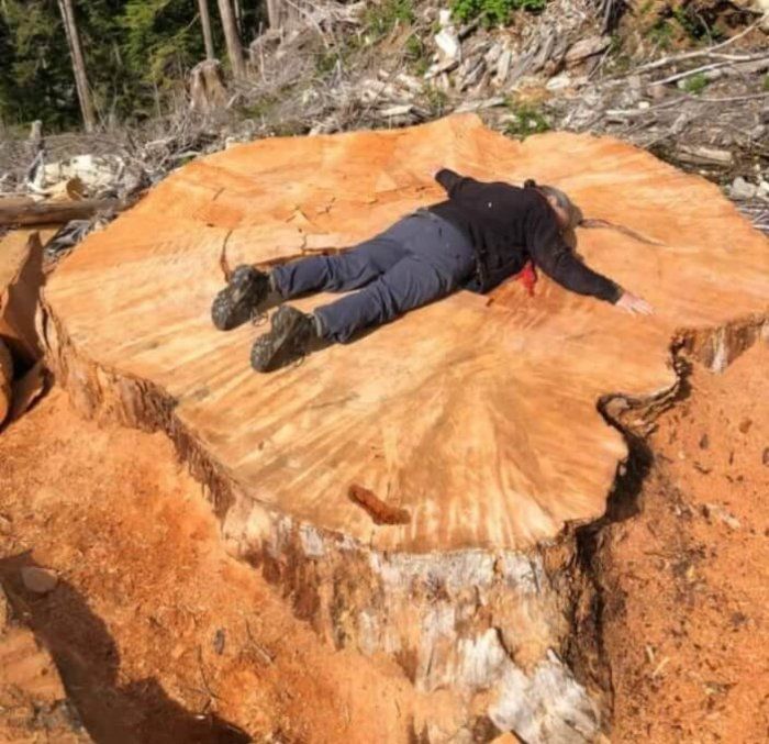 Images that might change your perspective on life