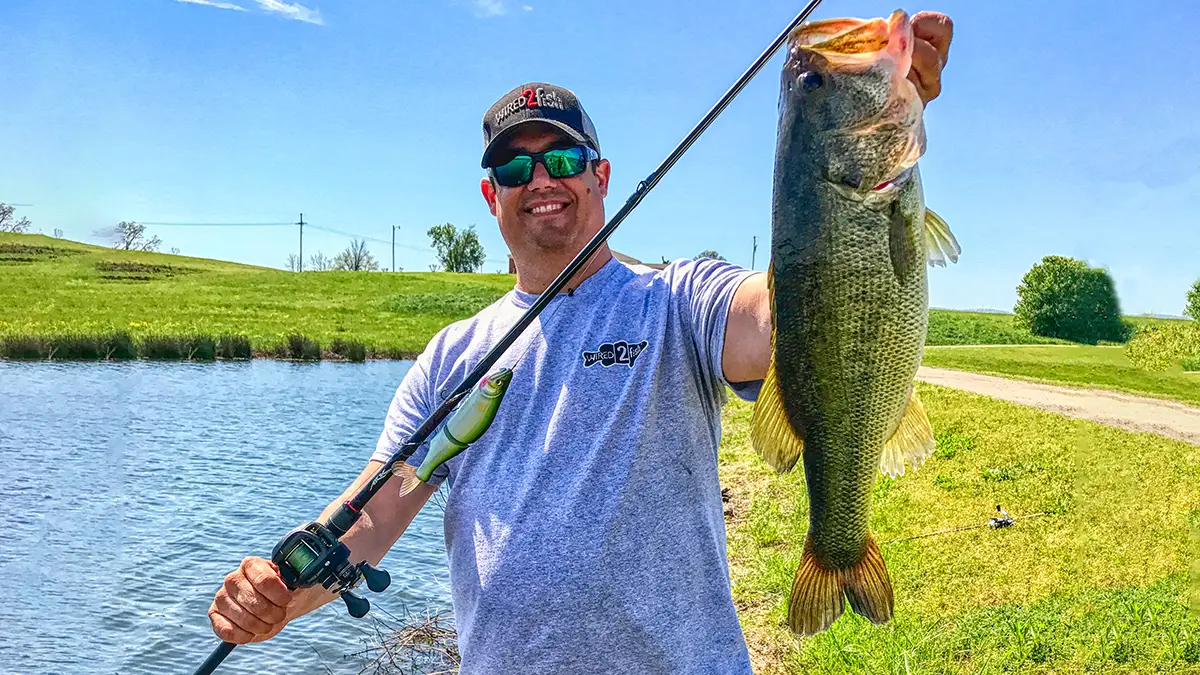 Easy catches: how anyone can reel in dinner