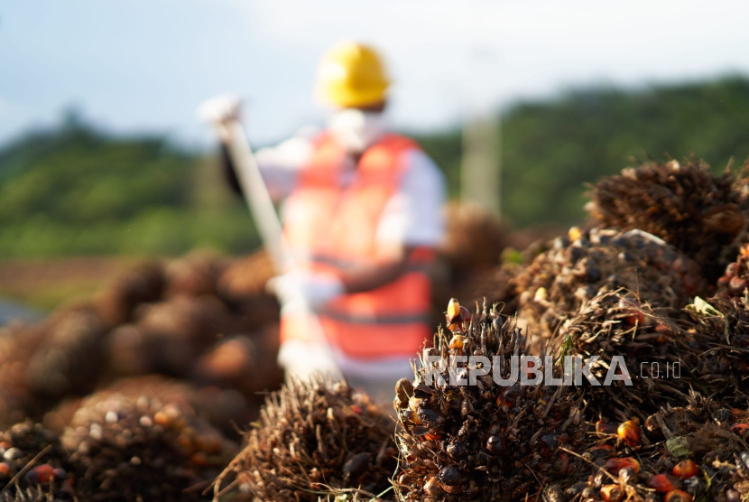 Palma Serasih bukukan laba bersih Rp442,8 miliar pada 2025