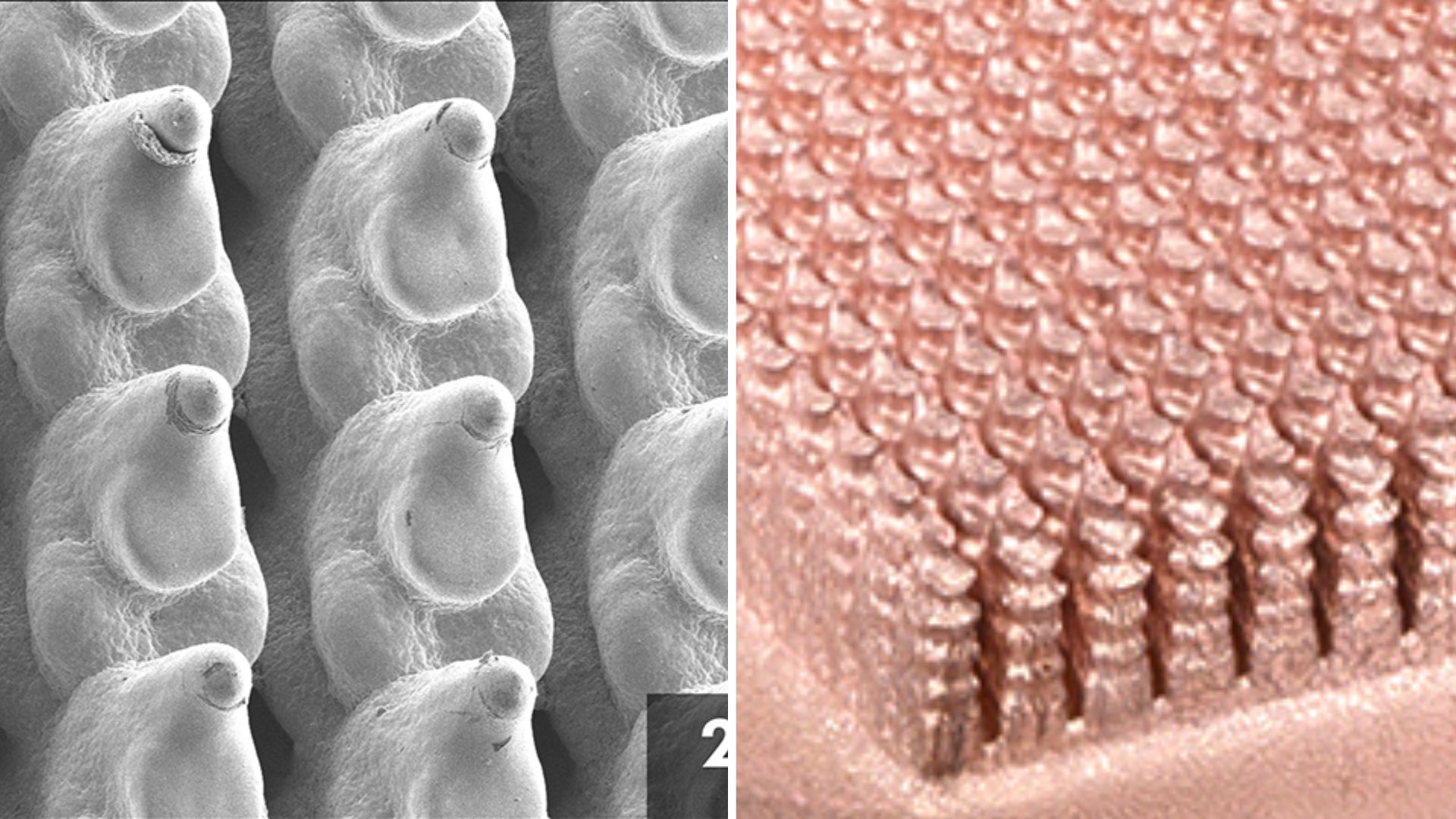 3D-printed copper cooling could cut data center energy use by 98%