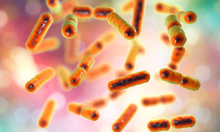 Scientists pinpoint how toxic bacteria in the gut causes colon cancer ...