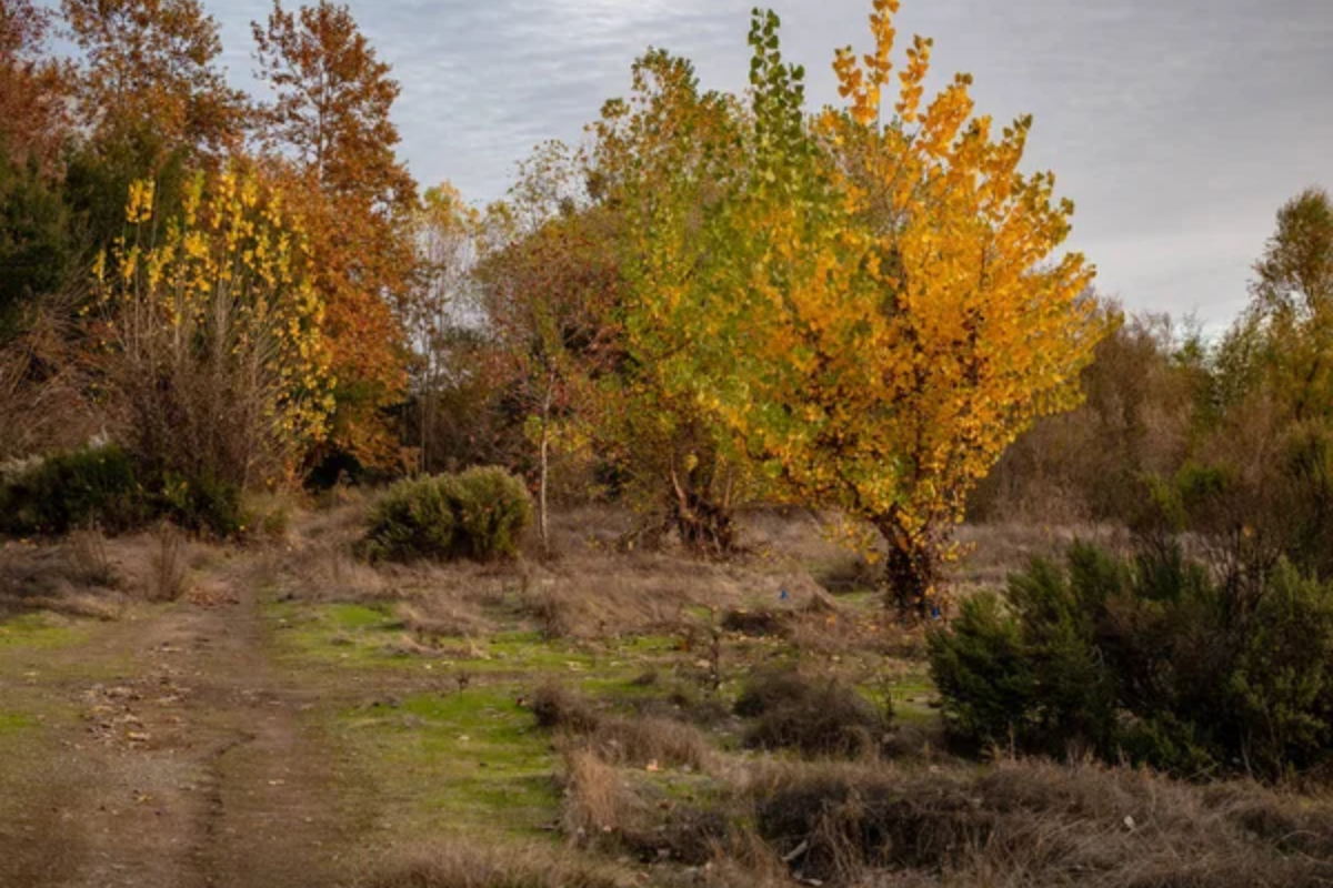 20 Sacramento spots where nature beats the ballgame