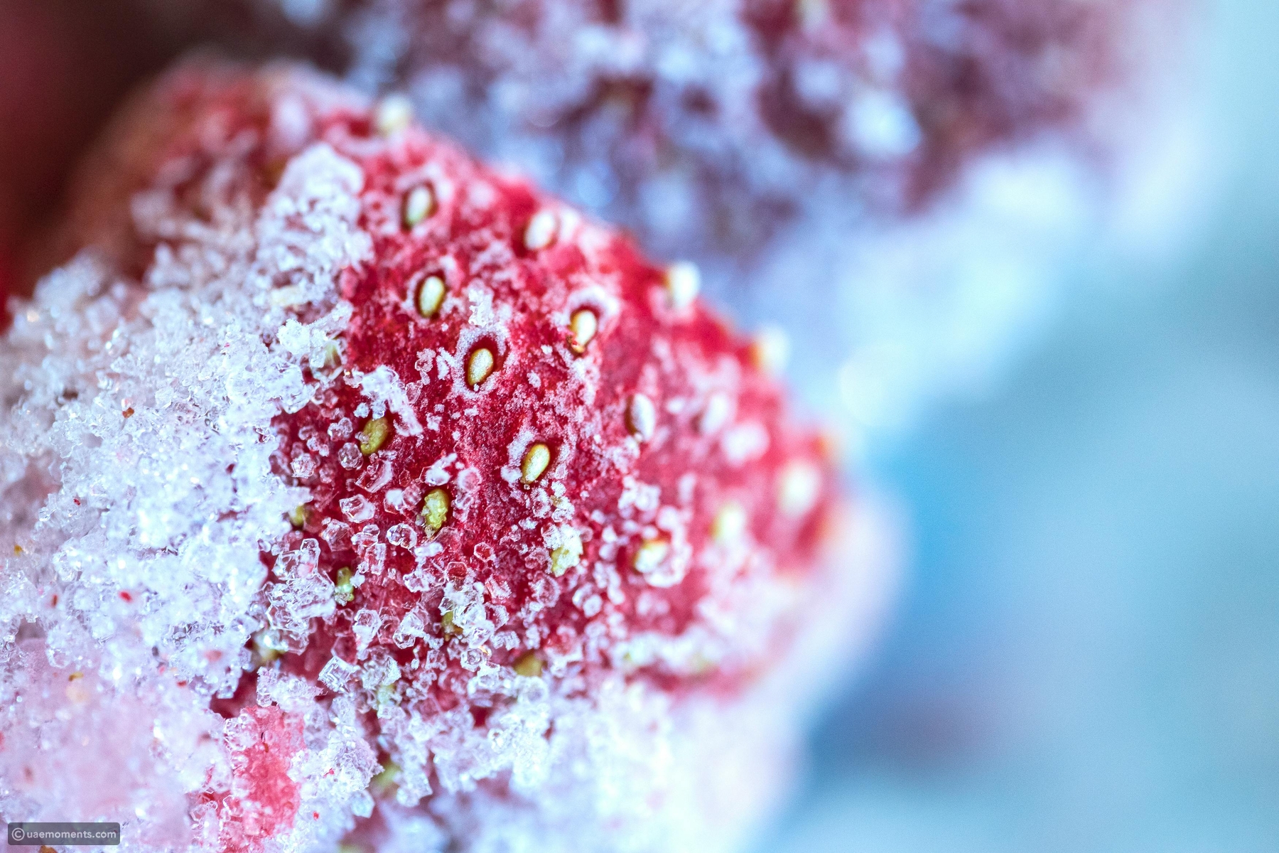 If you see ice crystals on frozen food, this is what it really means