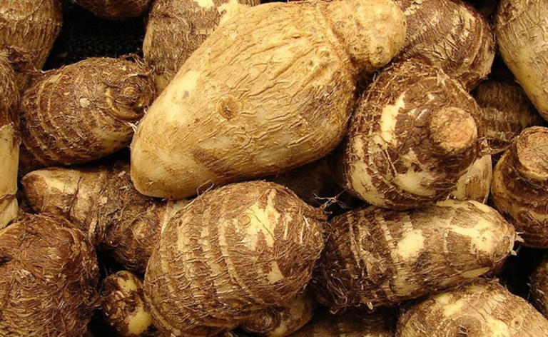 A gastroenterologist explains why arbi is actually a 'superfood' for ...
