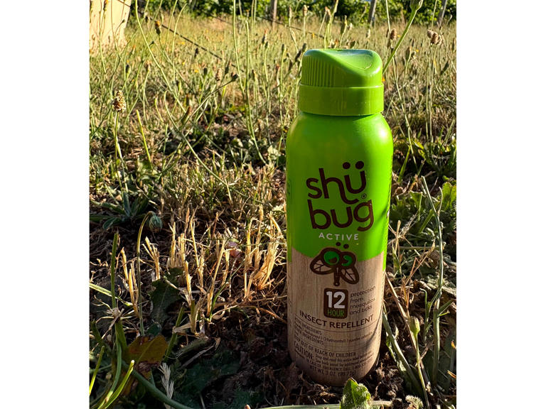Best bug sprays for 2026, tried and tested on camping trips