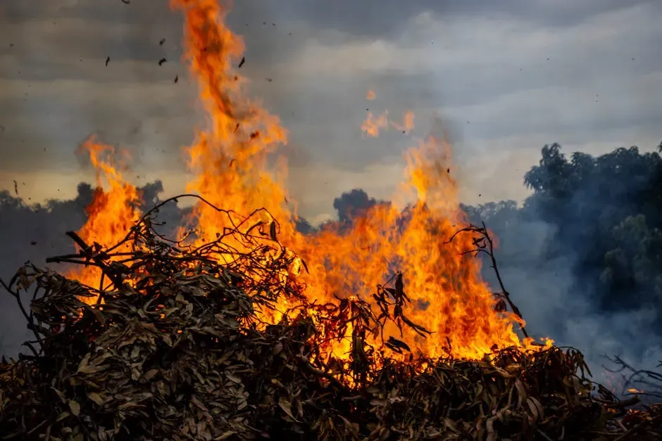 6 backyard burning mistakes that could get you fined - yet still happen ...