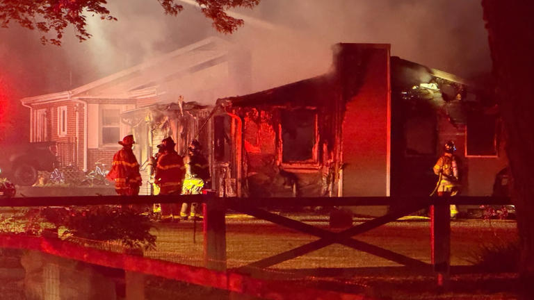 2 dogs dead after house fire in Troy neighborhood