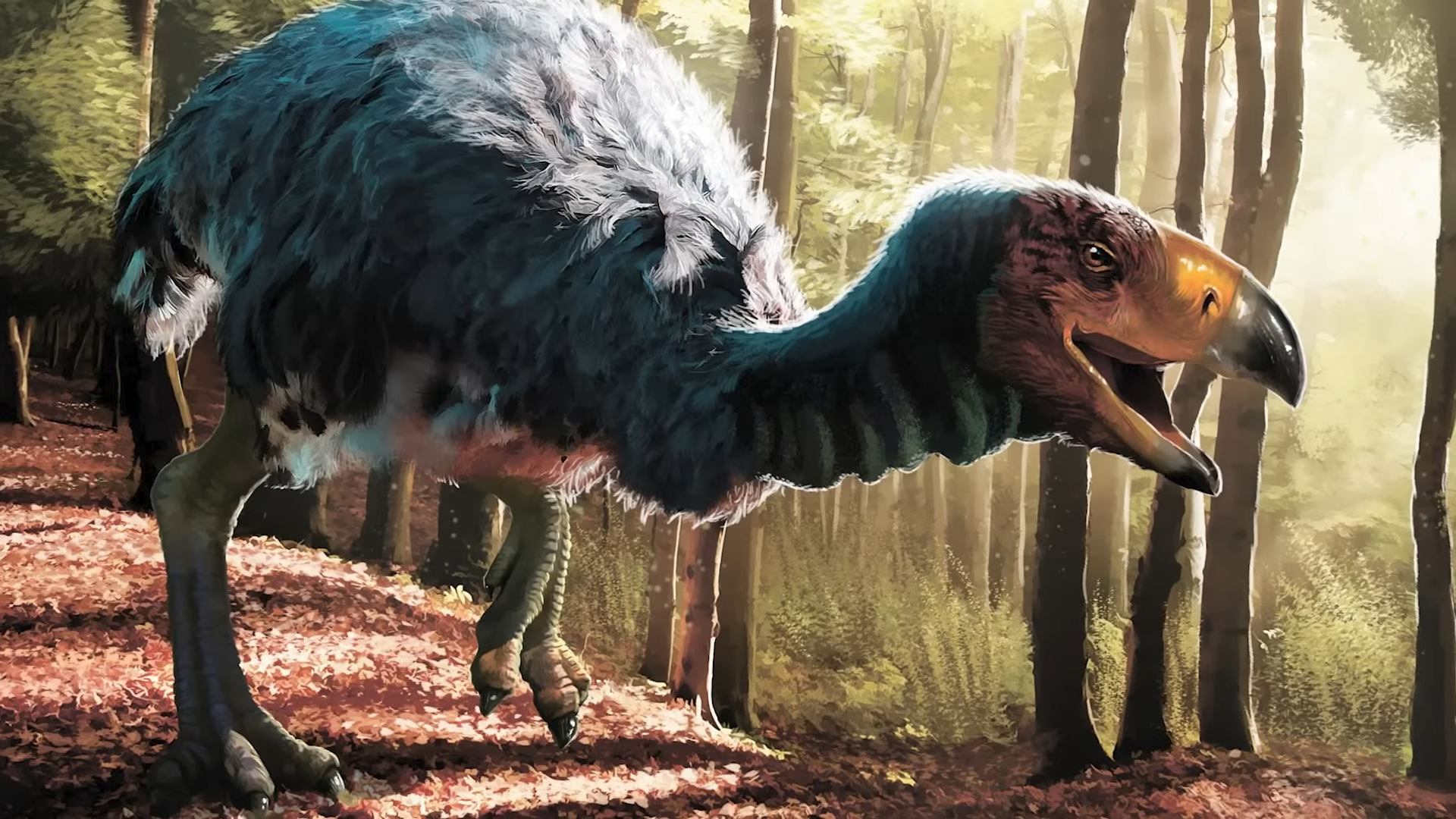 This strange creature survived the apocalypse that killed the dinosaurs