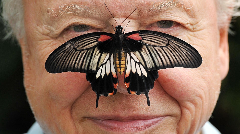 David Attenborough celebrates 100th birthday