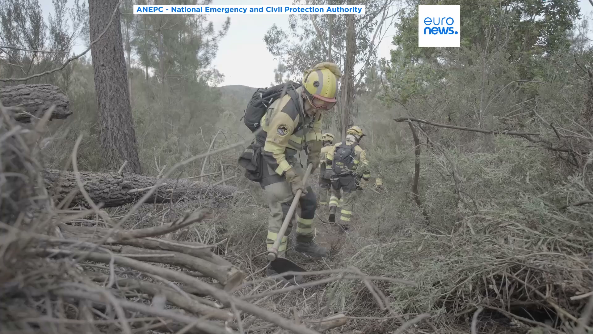 Portugal tests fire response in European exercise with 700 operatives ...