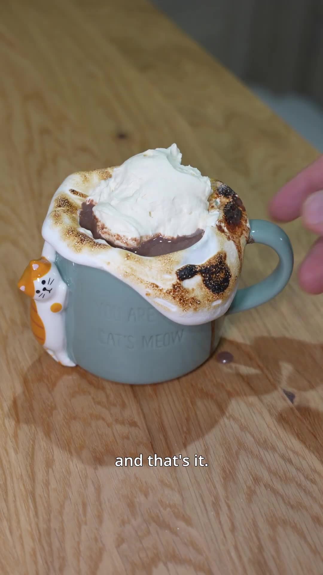 How to make a fancy 14 dollar hot chocolate at home for around two bucks