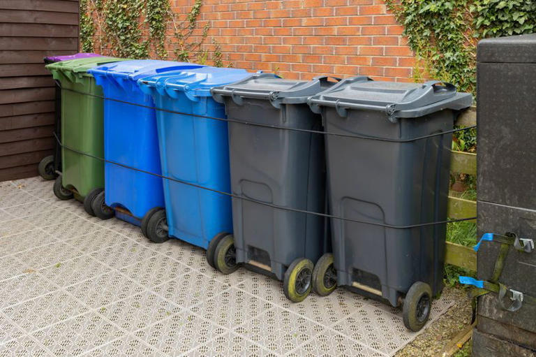 Households urged to put 1 very common item in wheelie bin to stop flies ...