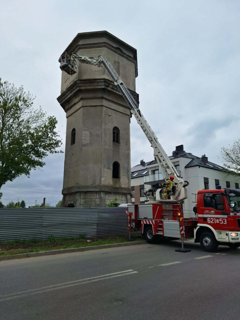 Szczęśliwy finał akcji w Sierpcu. Kot uratowany z wieży ciśnień po ...