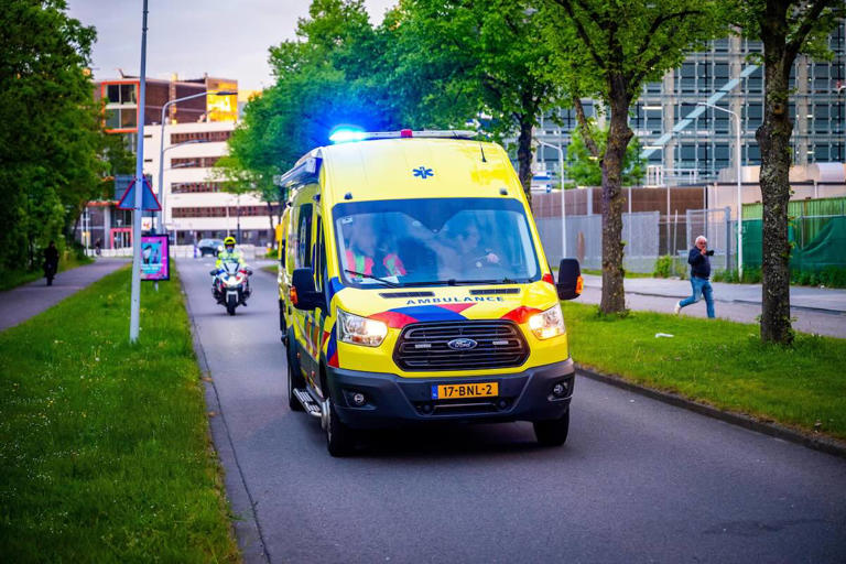 Hantavirus, l’hostess ricoverata in Olanda negativa al test. L’Oms e l ...