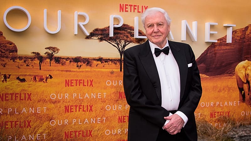 A century of change: Planet Earth through David Attenborough’s eyes as ...