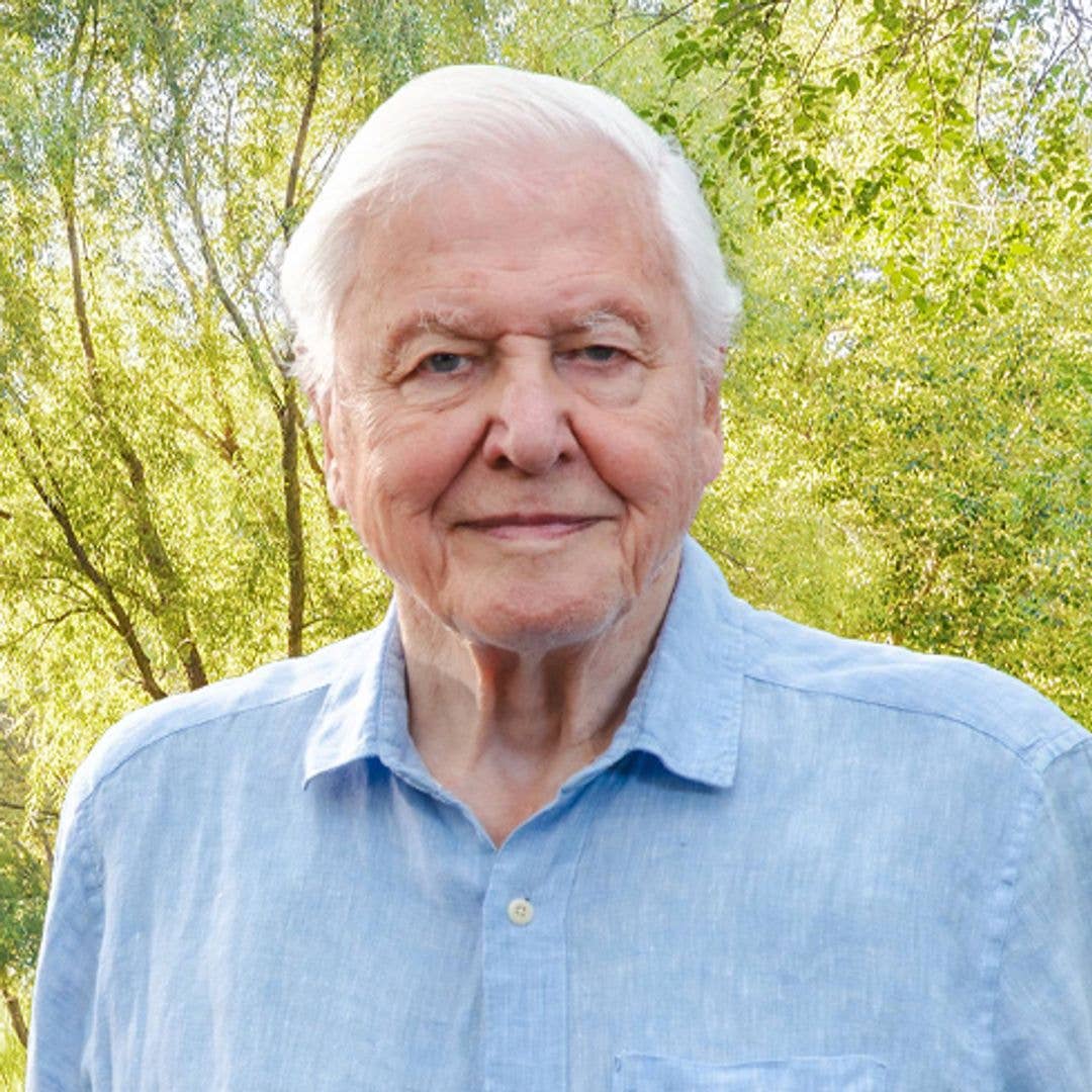 Sir David Attenborough at 100: Star's most powerful quotes that prove ...