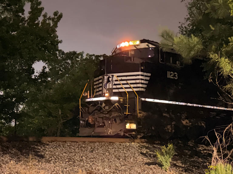 Pedestrian hit by train in Raleigh