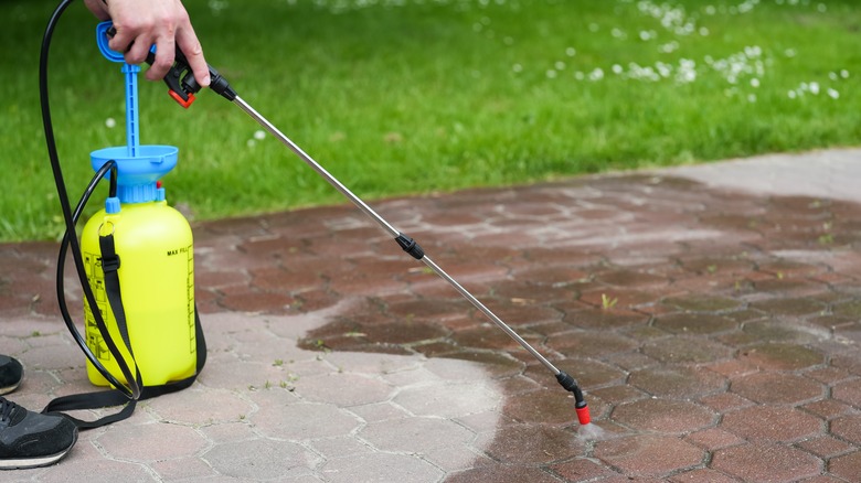 14 common kitchen ingredients you can use to tackle the weeds in your lawn