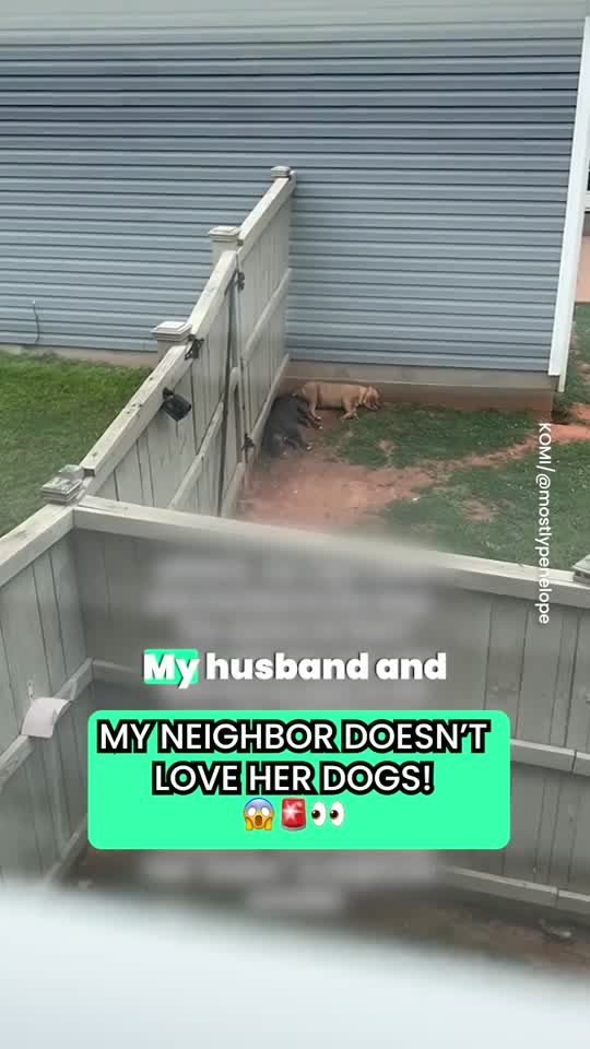 This woman should never be allowed near dogs again