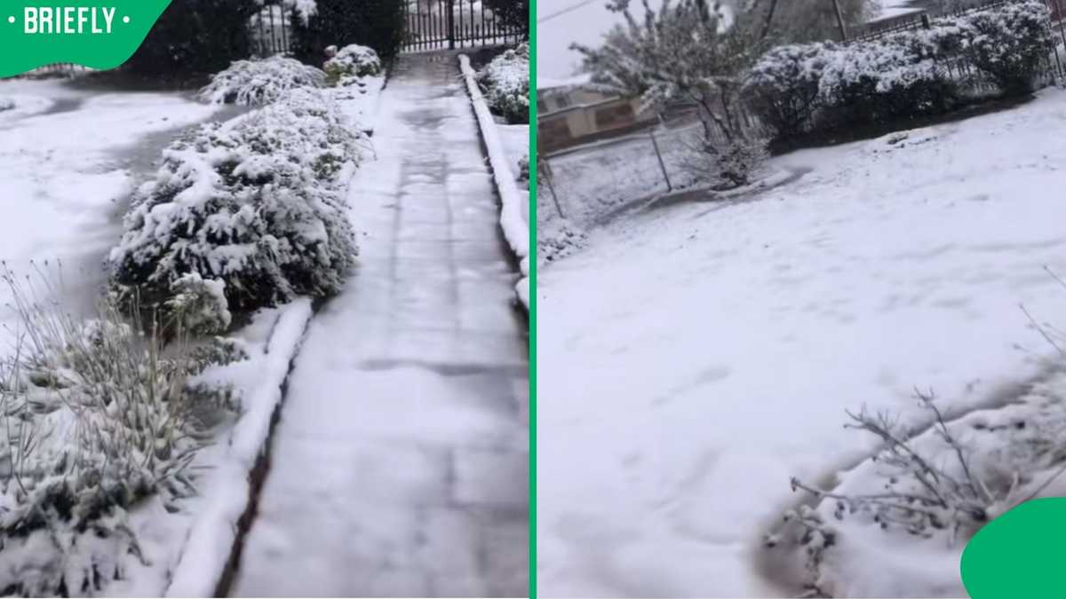 Northern Cape family’s snow-covered yard in TikTok video has Mzansi ...
