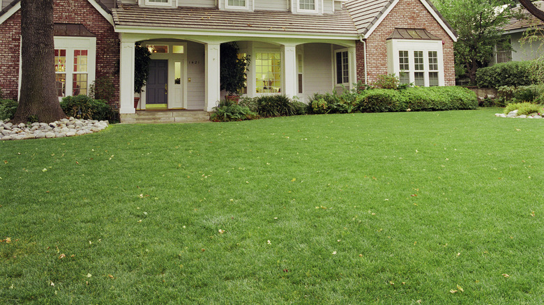 5 materials you can use to top-dress your lawn (& which is best for ...