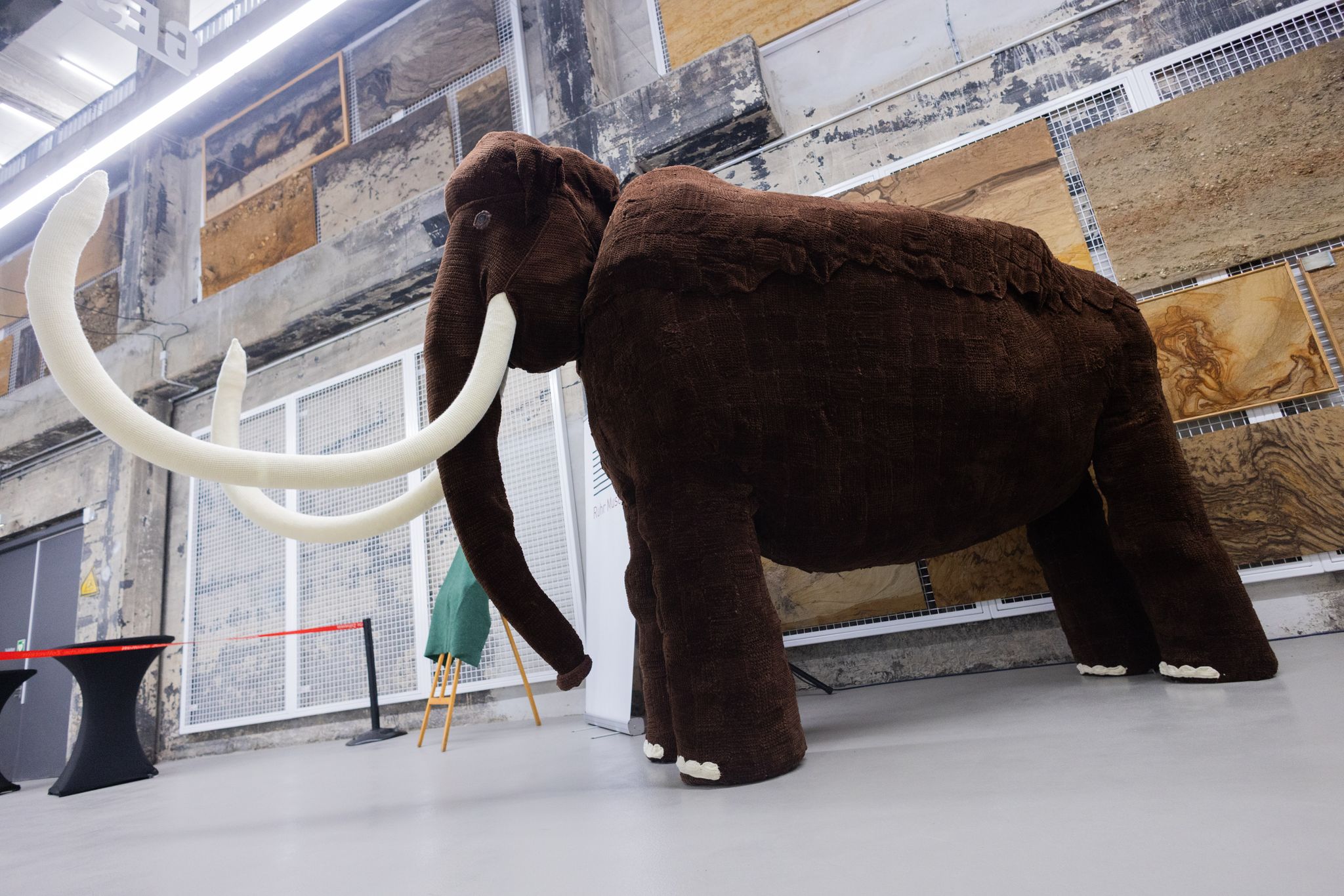 Visit German museum's record woolly mammoth crocheted by locals