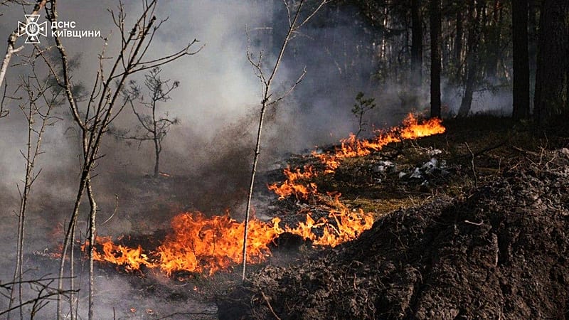 Large forest fire burning in Chernobyl exclusion zone after drone crash ...