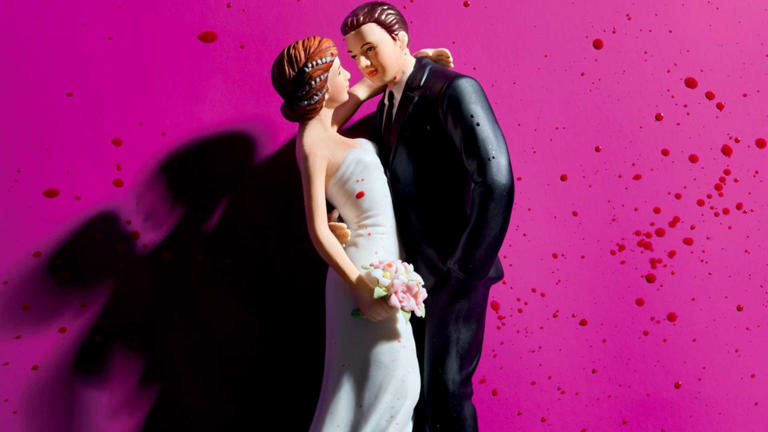 Freida McFadden's next book The Divorce is getting adapted into a movie ...