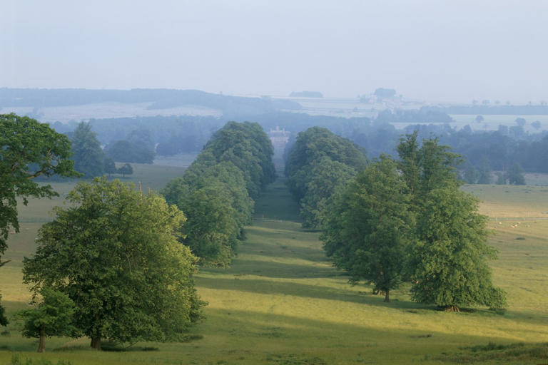 Celebrate National Walking Month in Lincolnshire with the National Trust