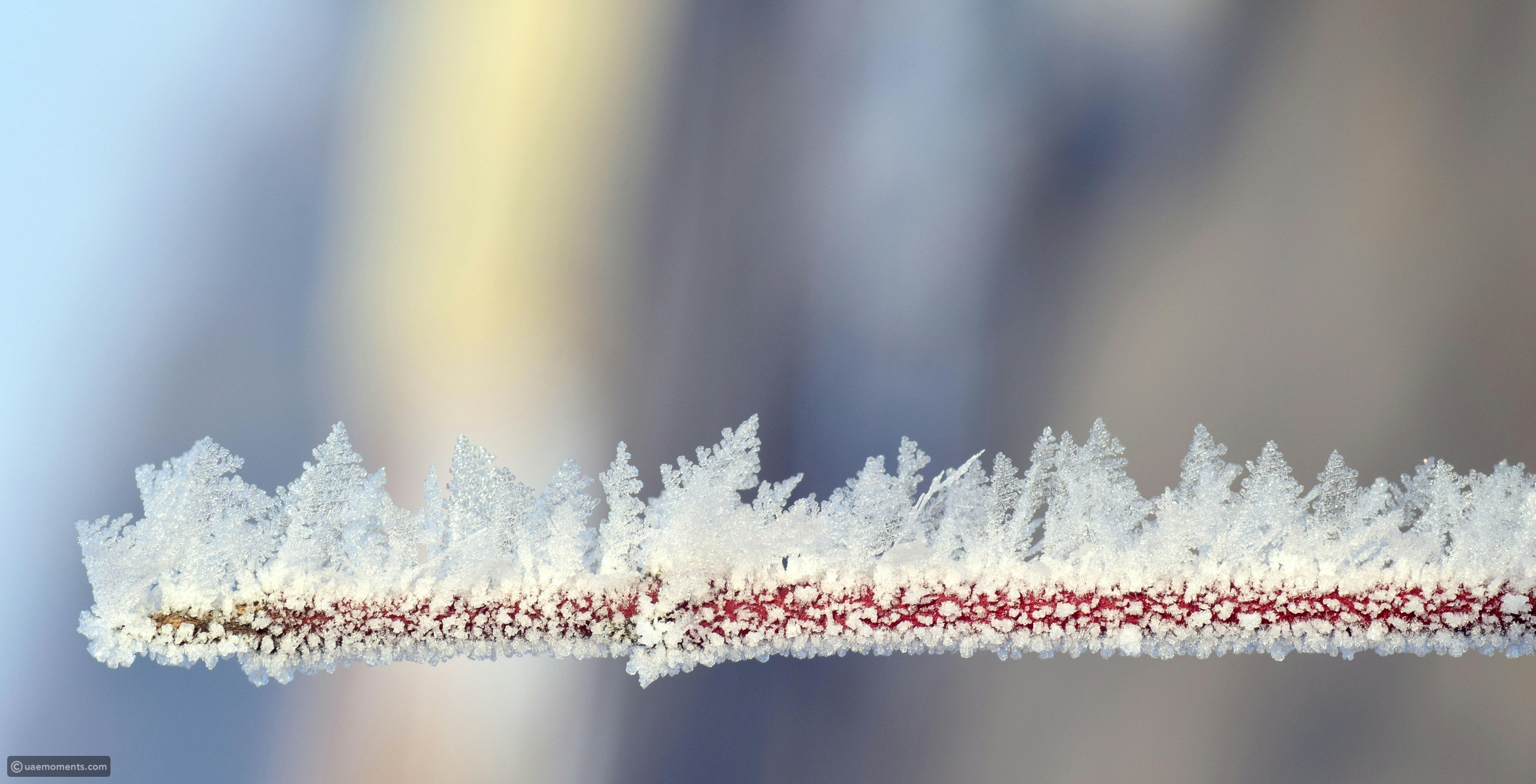 If you see ice crystals on frozen food, this is what it really means