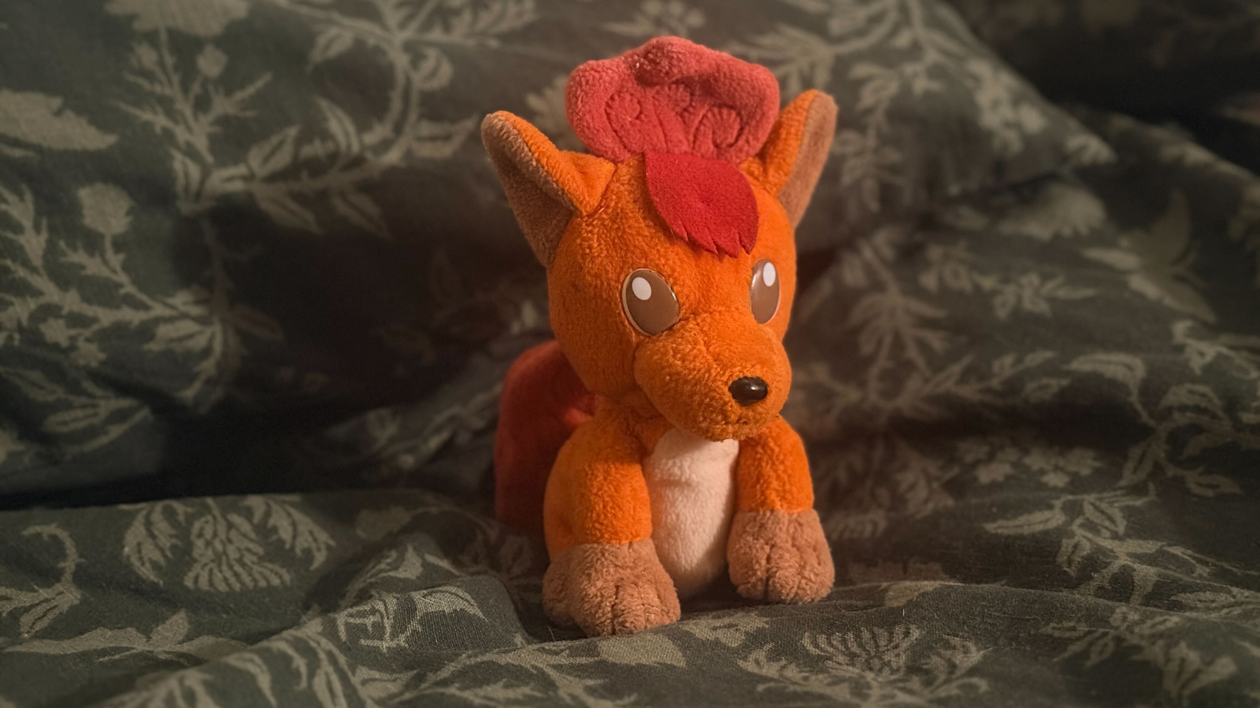 Casey DeFreitas' Pokemon Merch