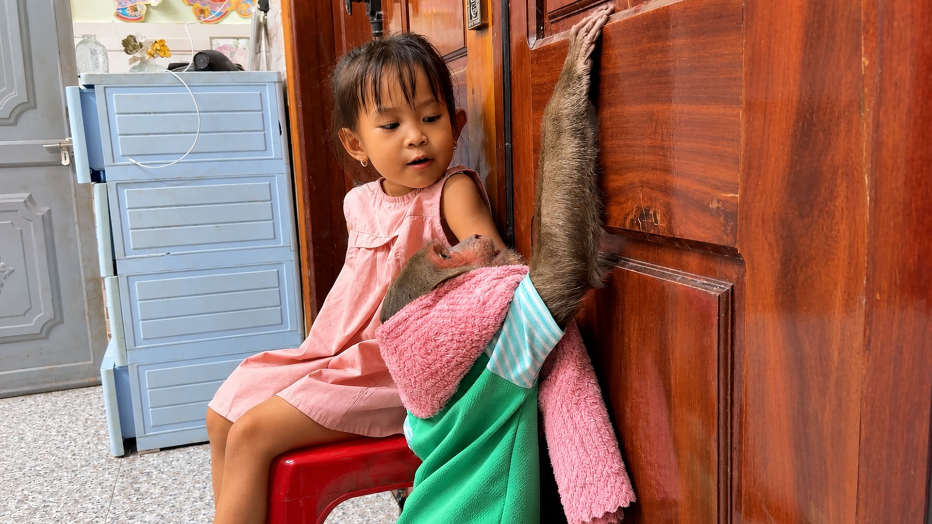 Cutis plans to go outside but Yen Nhi interferes quickly