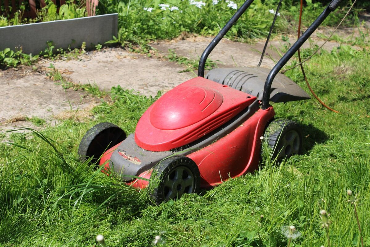 Video – I migliori robot tagliaerba 2026 che stanno cambiando il giardino