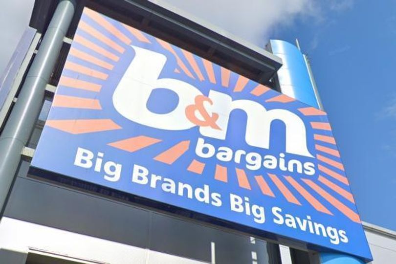 'Statement' B&M £10 item adds cute decorative element to gardens
