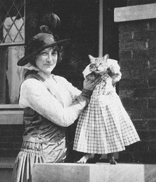 30 charming vintage cat photos that still melt hearts today
