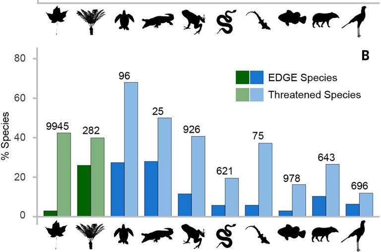 One fifth of flowering plant evolutionary history is at risk of ...