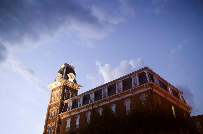 University of Arkansas names new dean of Fay Jones School of ...