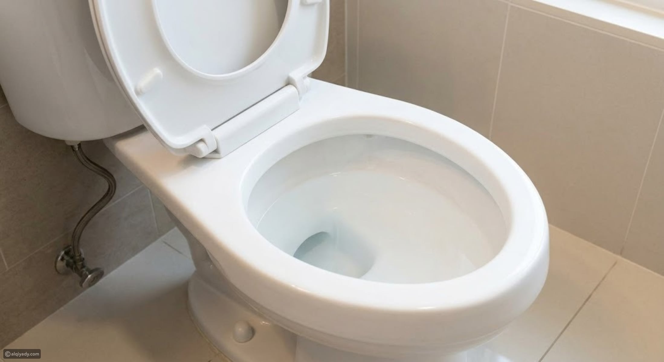 American vs. European toilets: Why are they different?