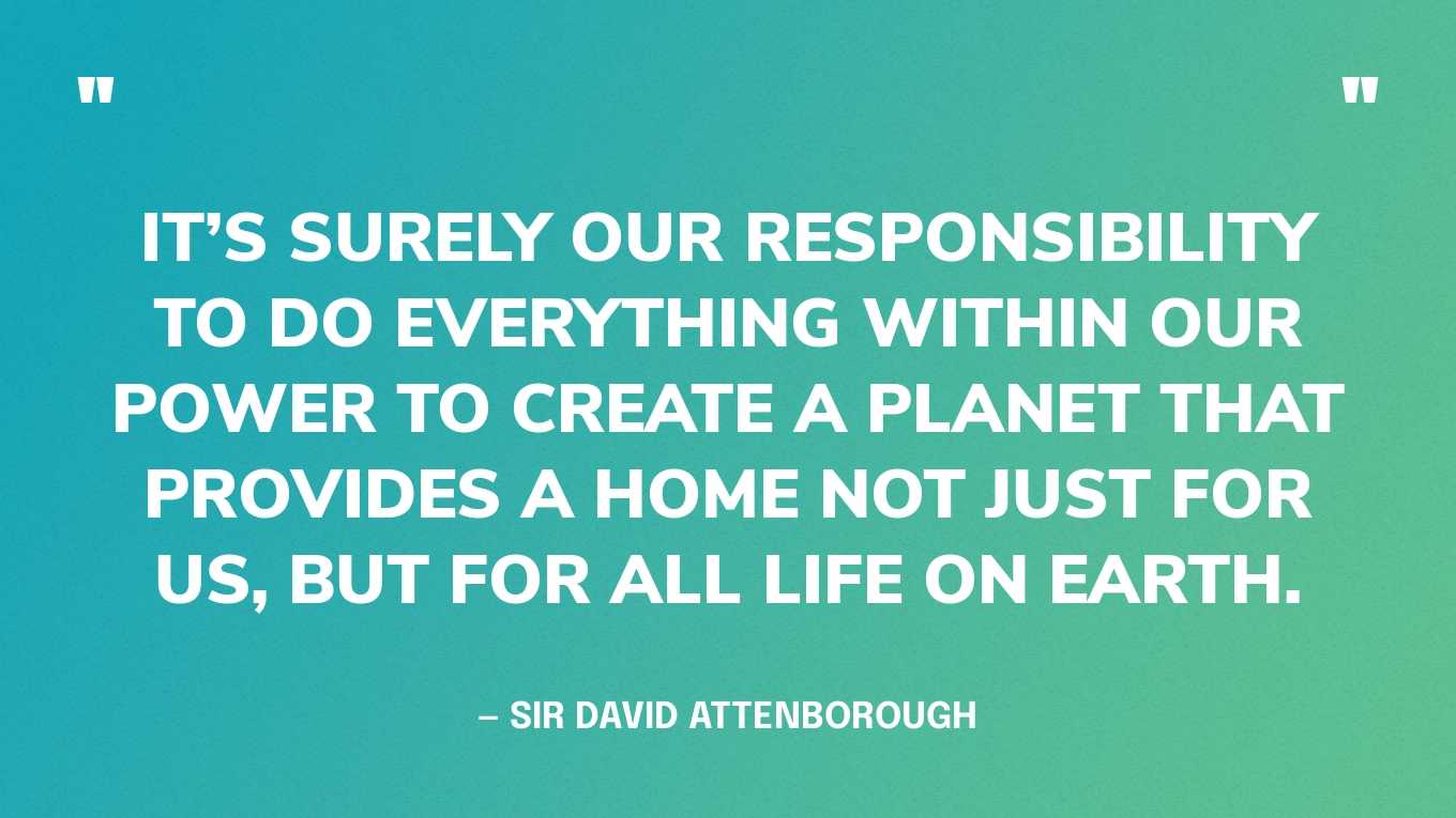 Today is David Attenborough's 100th birthday — read his most iconic quotes