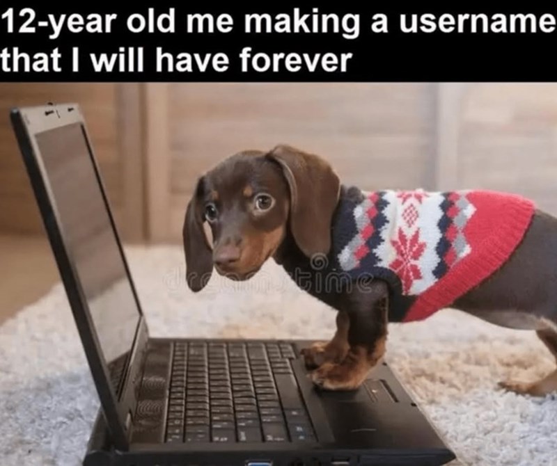 24 soul warming dog memes for hoomans who need a happy heartwarmer