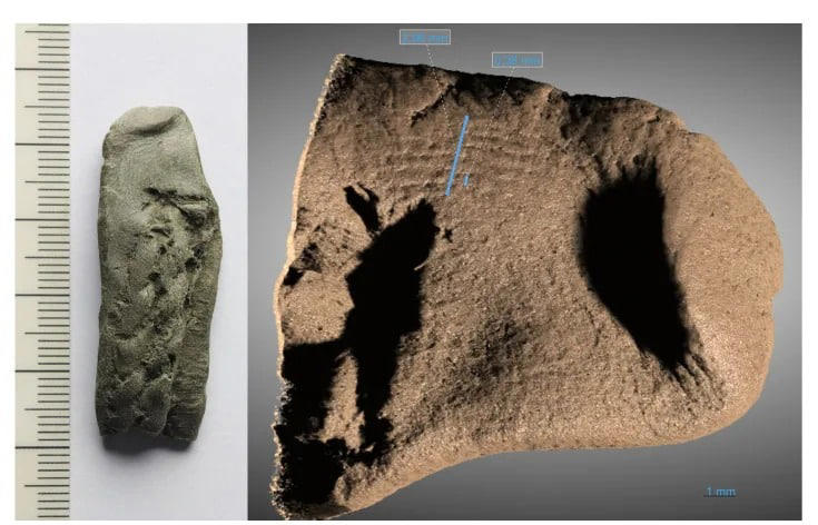 A tiny human fingerprint found on a 2,000-year-old sunken boat could ...
