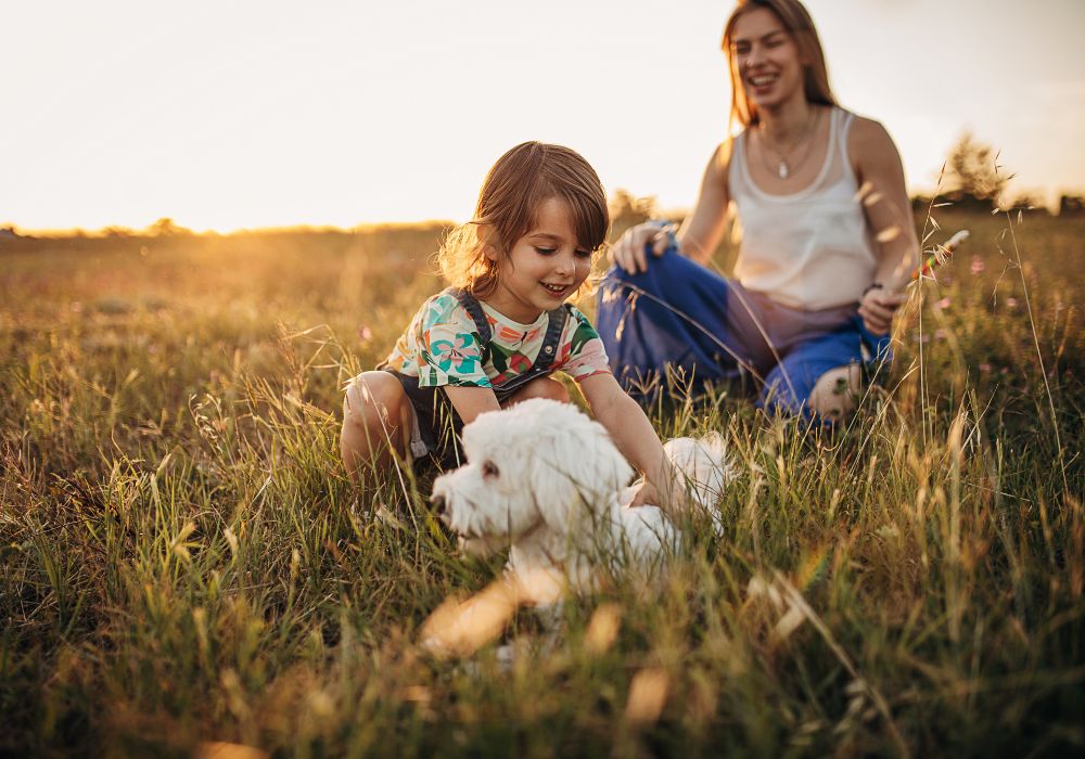 How to check your child for ticks and what to do if they have one