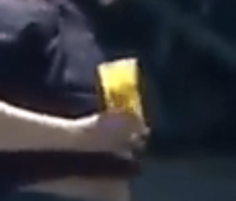 Guardians fan turned a foul ball catch into the ultimate party foul