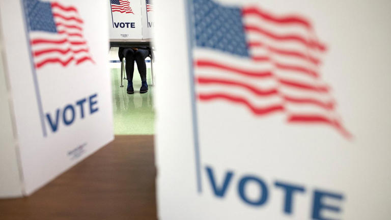 Virginia redistricting vote struck down by state Supreme Court