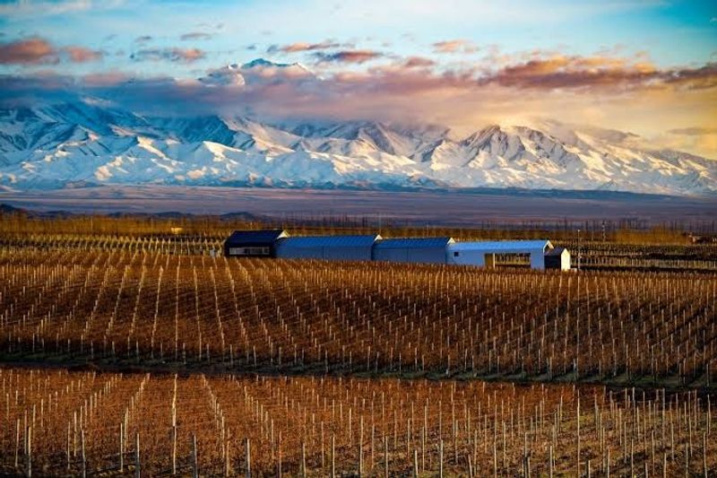 14 wine regions in South America that rival Europe