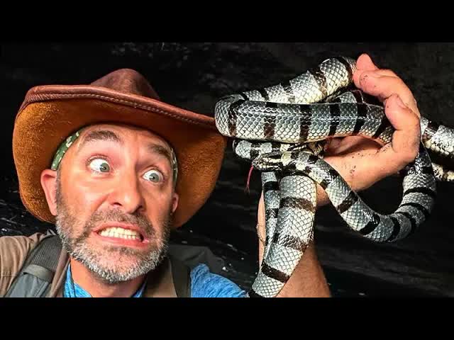 Coyote Peterson comes face to face with the world's deadliest sacred snake