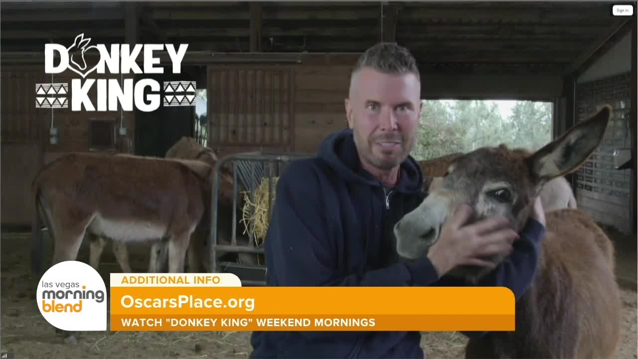 ABC releases new weekly docu-series: Donkey King