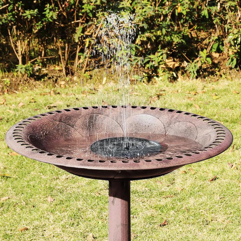 The best solar bird bath fountains of 2026, tested and reviewed