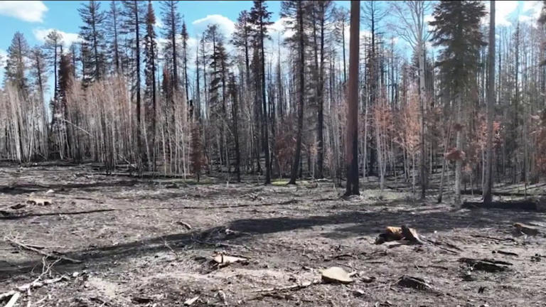 North Rim of Grand Canyon to reopen May 15 following 2025 Dragon Bravo ...